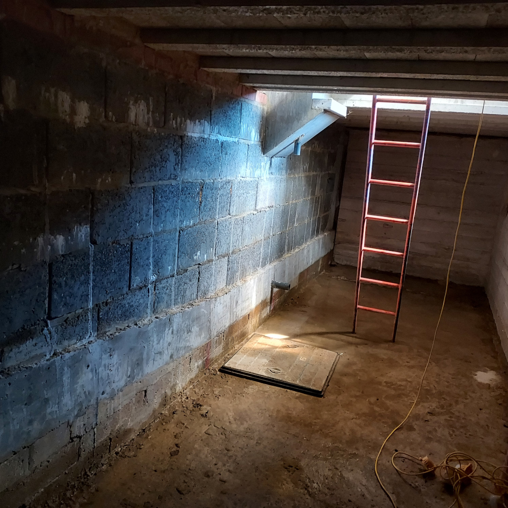 Basement swimming pool.